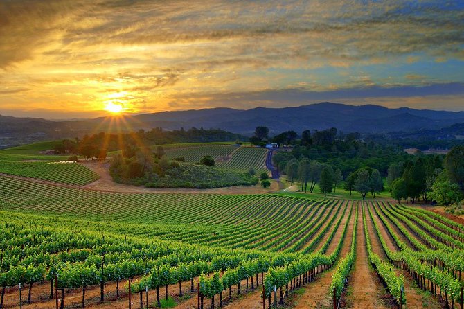 Les meilleurs vins de la vallée de la Békaa – ALTCELLARS